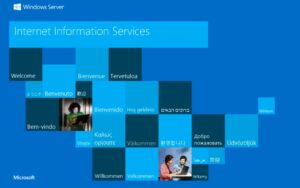 What is IIS Web Server: (Internet Information Services)?